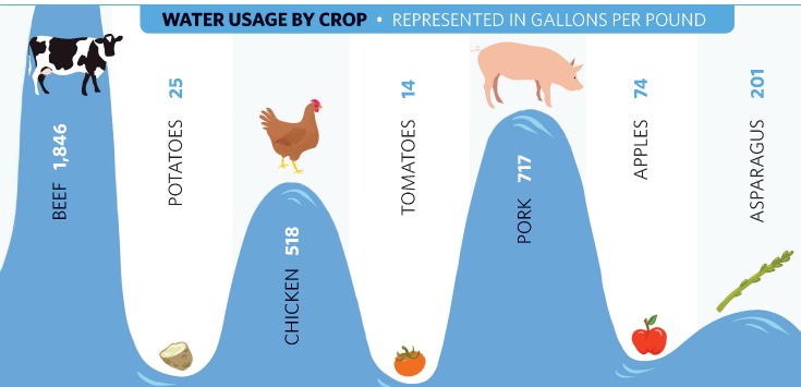 Edible Madison | The Water Behind your Meat & Potatoes