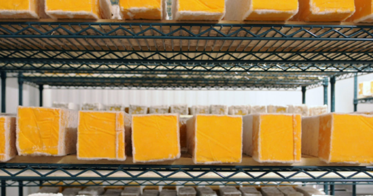 Edible Madison | Chris Roelli: Redefining American Original Cheeses